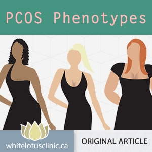 PCOS Phenotypes and Associated Risks - White Lotus Clinic
