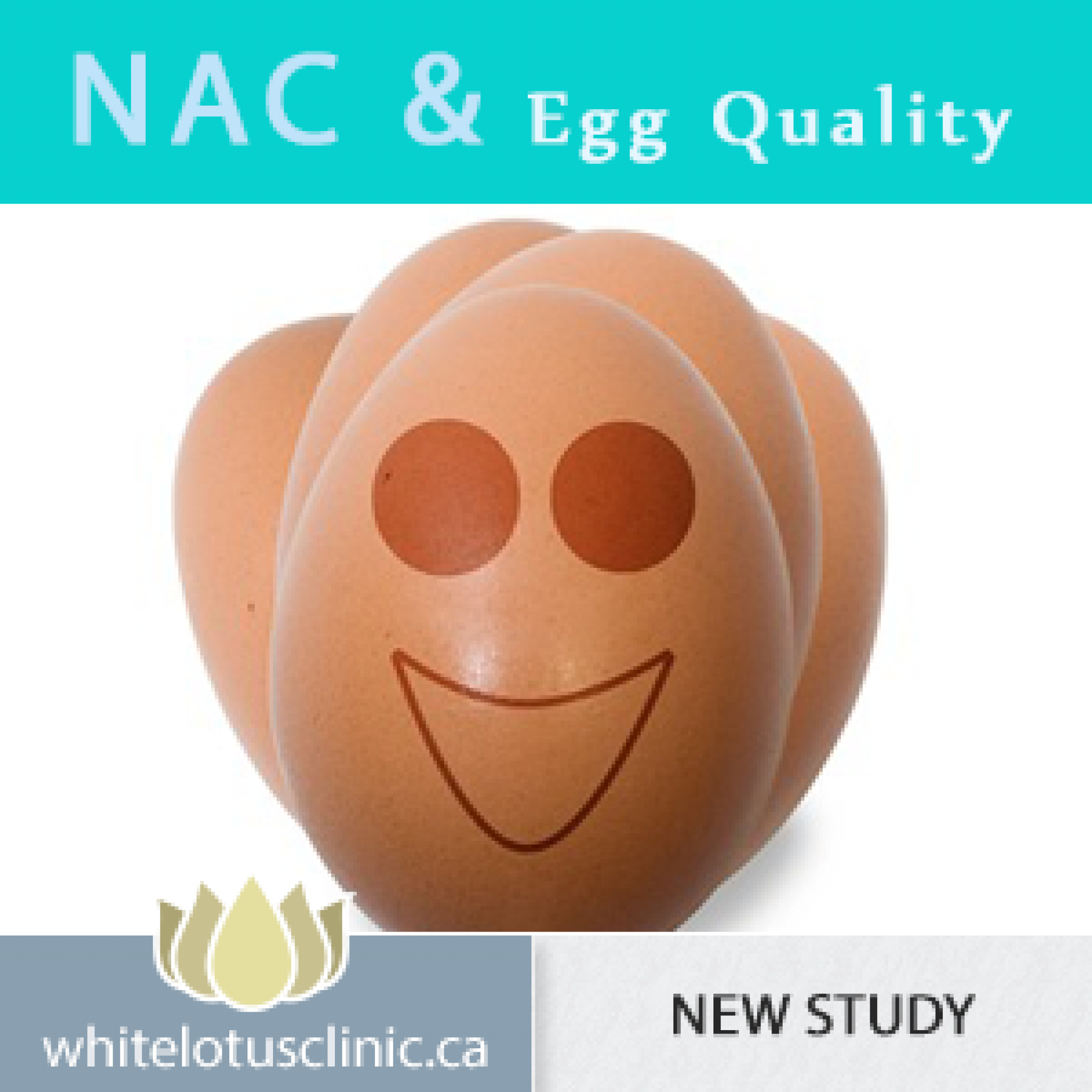 N-Acetyl Cysteine for PCOS Egg Quality