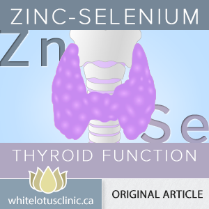 Zinc, Selenium and Thyroid Function in Women - White Lotus Clinic