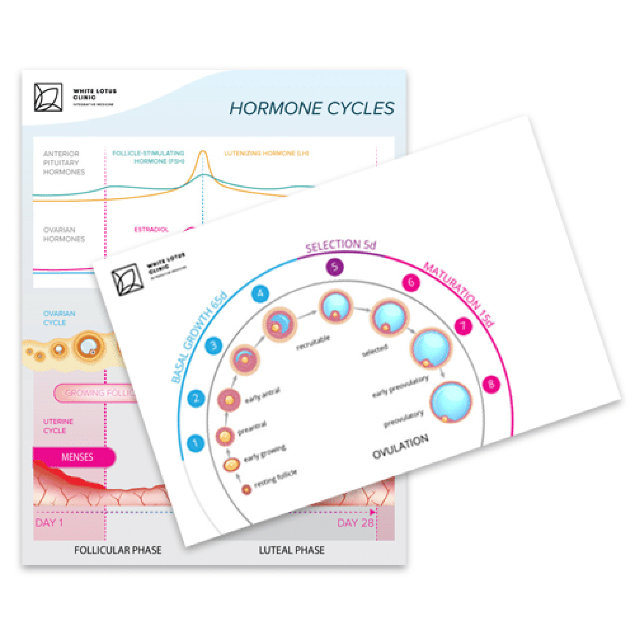 Fertility Naturopath Toronto | A Holistic Approach to Fertility