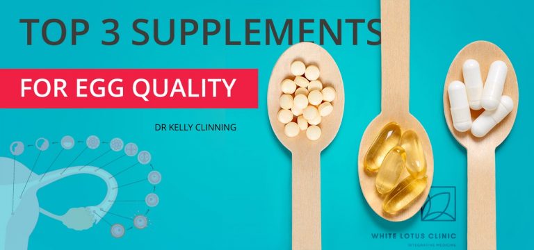 Top 3 Supplements to Improve Egg Quality - White Lotus Clinic