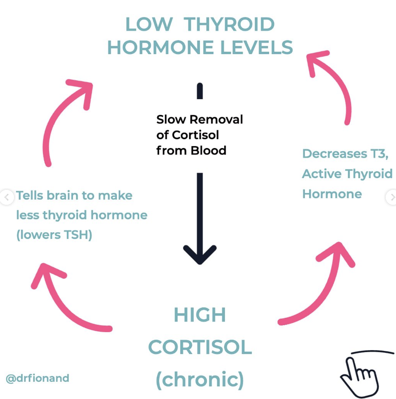 The Relationship between Cortisol & Thyroid Hormones - White Lotus Clinic