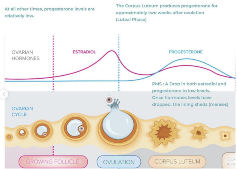 Can Progesterone Levels Impact Sleep Quality? - White Lotus Clinic